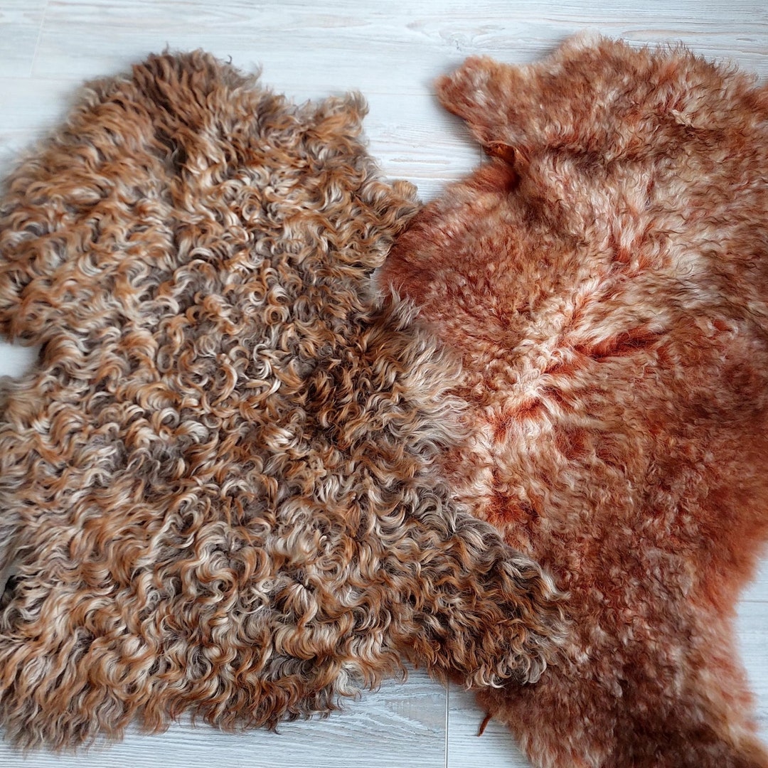 Genuine Lux Tigrado Curly Sheepskin Throw Rug, Collar Fur, Clothing and ...