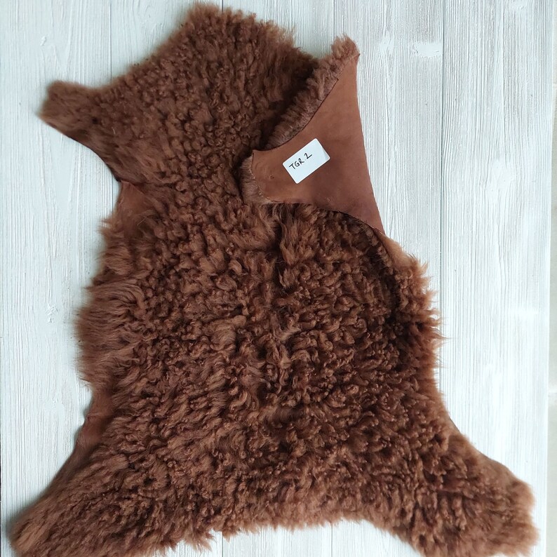 Genuine Curly Sheepskin Tigrado Wool Rug, Sheep Decor Fur, Clothing and ...