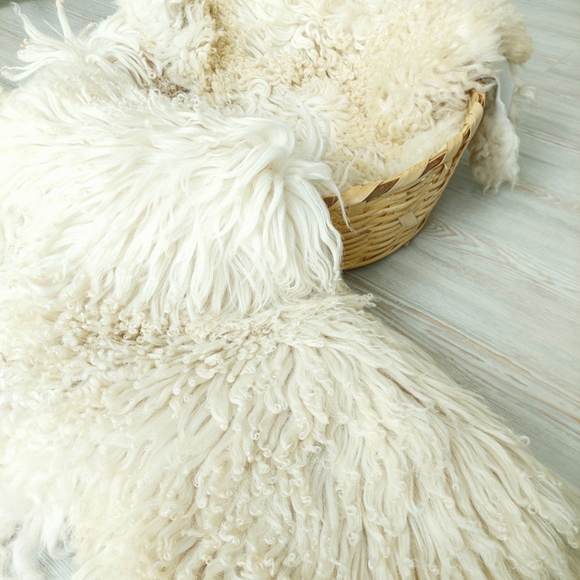 Natural Tigrado Curly Sheepskin, Genuine Soft Handmade Hide, Wool ...