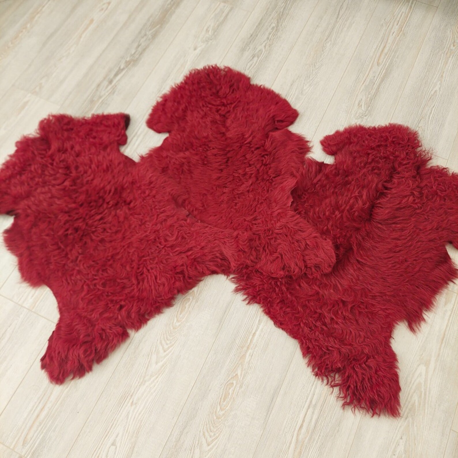 Luxury Red Curly Tigrado Sheepskin, Genuine Sheepskin Leather, Collar ...