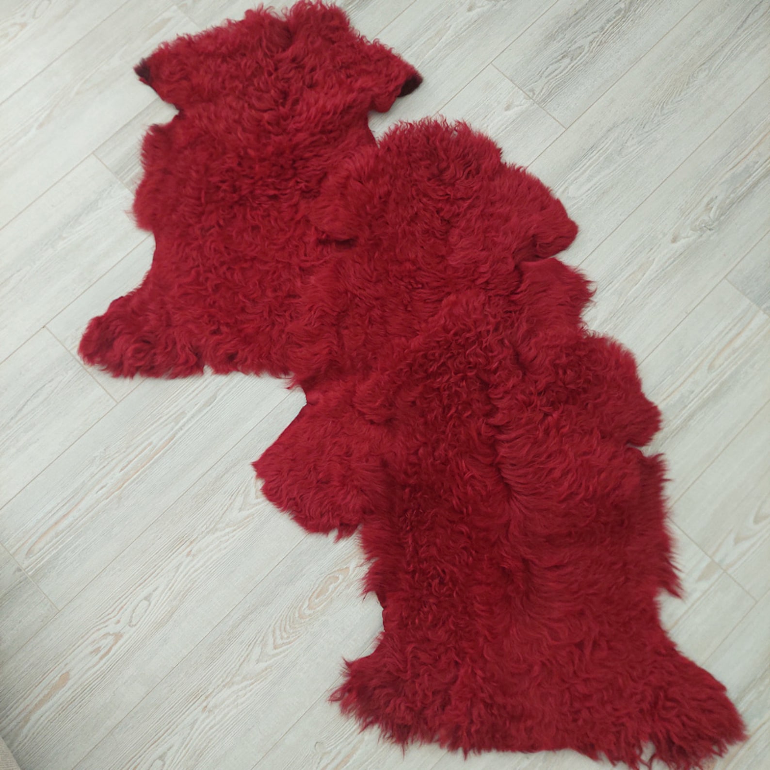 Luxury Red Curly Tigrado Sheepskin, Genuine Sheepskin Leather, Collar ...