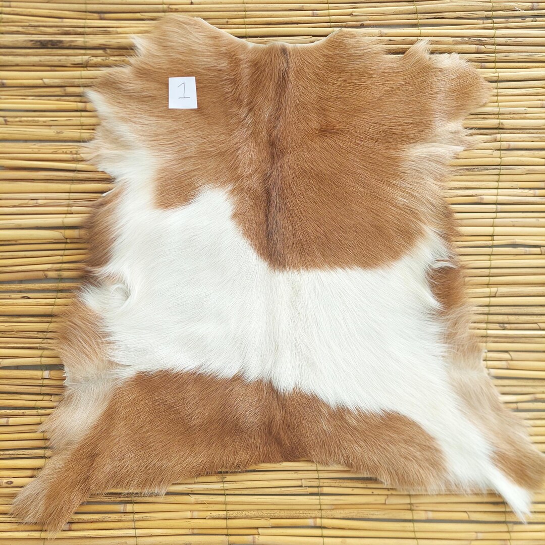 Natural Exotic Goat Hide Throw Rug, Genuine Goatskin Hair on Hide, Decorative Baby Goatskin Pelt ...