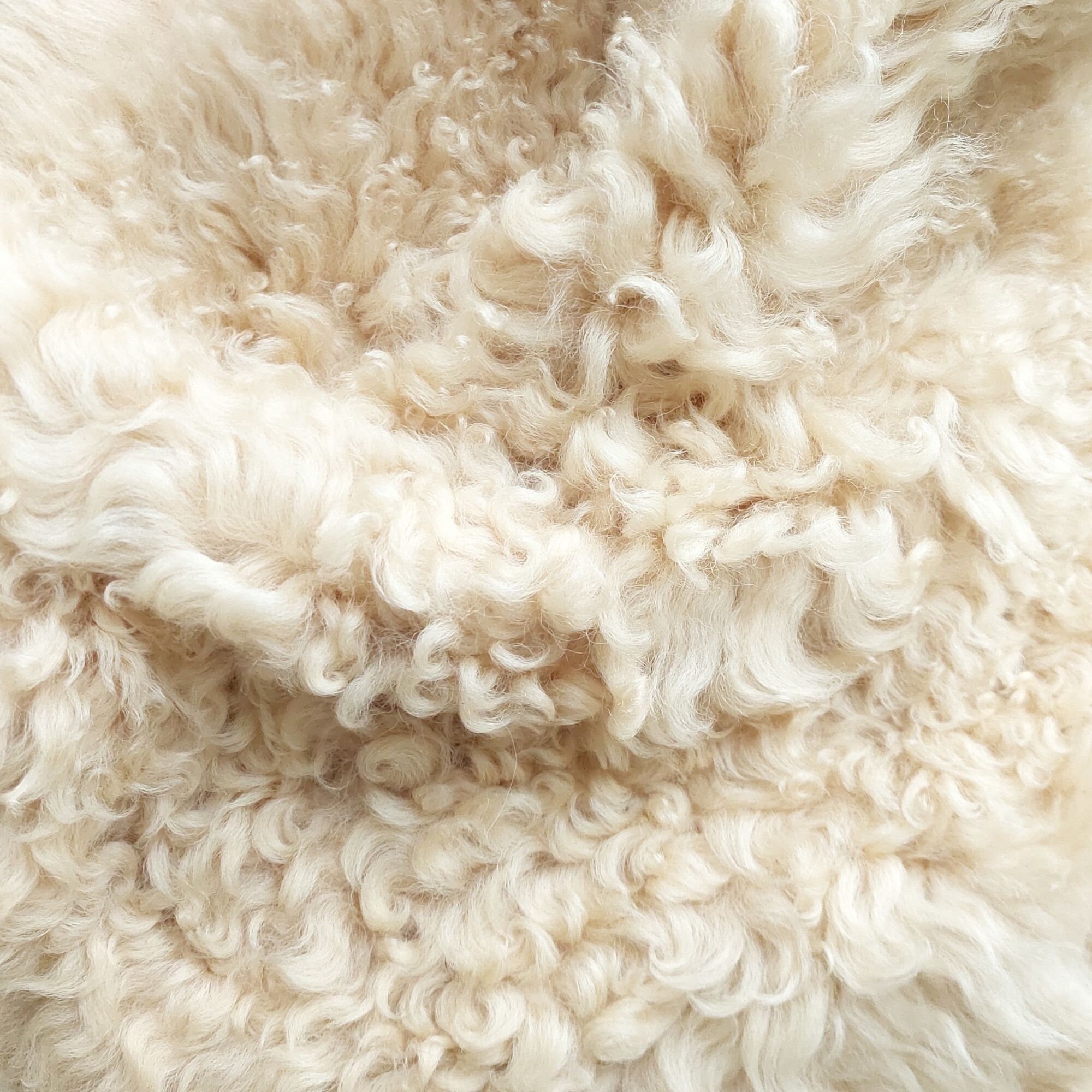 Genuine Curly Sheepskin Tigrado Wool Rug, Sheep Decor Fur, Clothing and ...