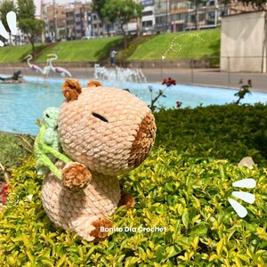 Patrón PDF Capibara Amigurumi - Crochet Fácil con Hilo Chenille ...
