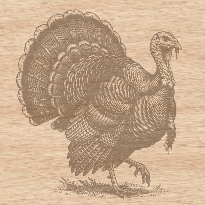 Wild Turkey SVG and PNG Bundle – 6 Vintage Engraving Designs for Laser ...