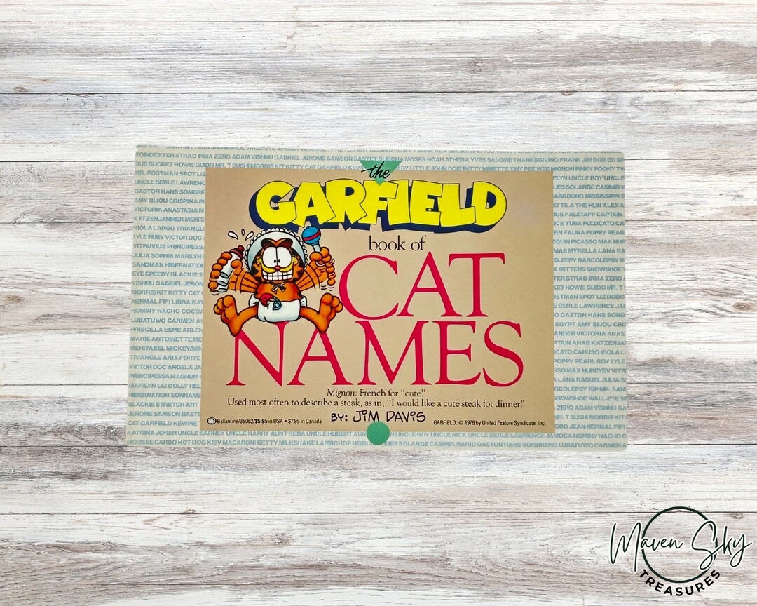 Vintage Garfield Comic Book, Jim Davis, Garfield Book of Cat Names ...