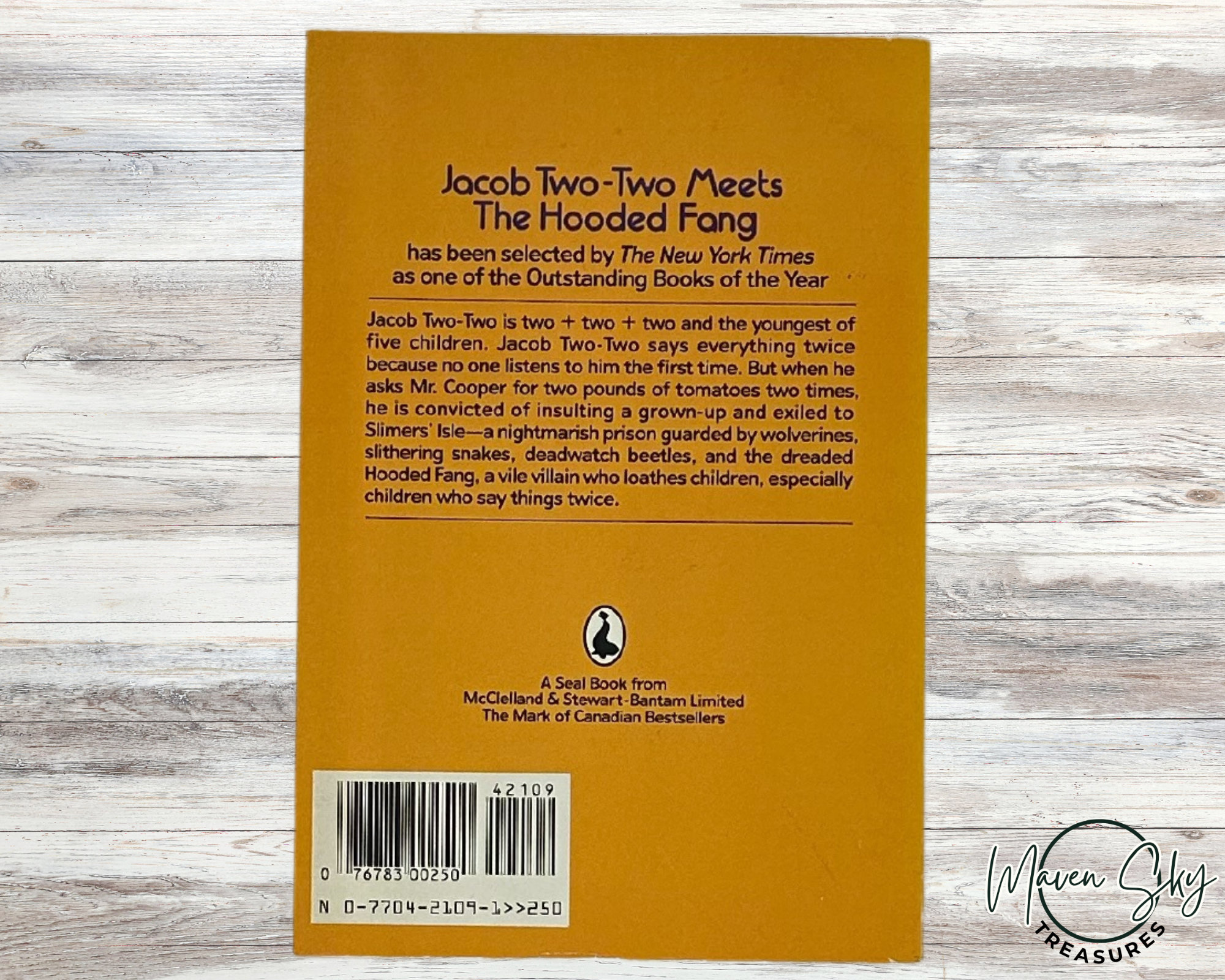 Jacob Two-two Meets the Hooded Fang, Mordecai Richler, 1980's Book ...
