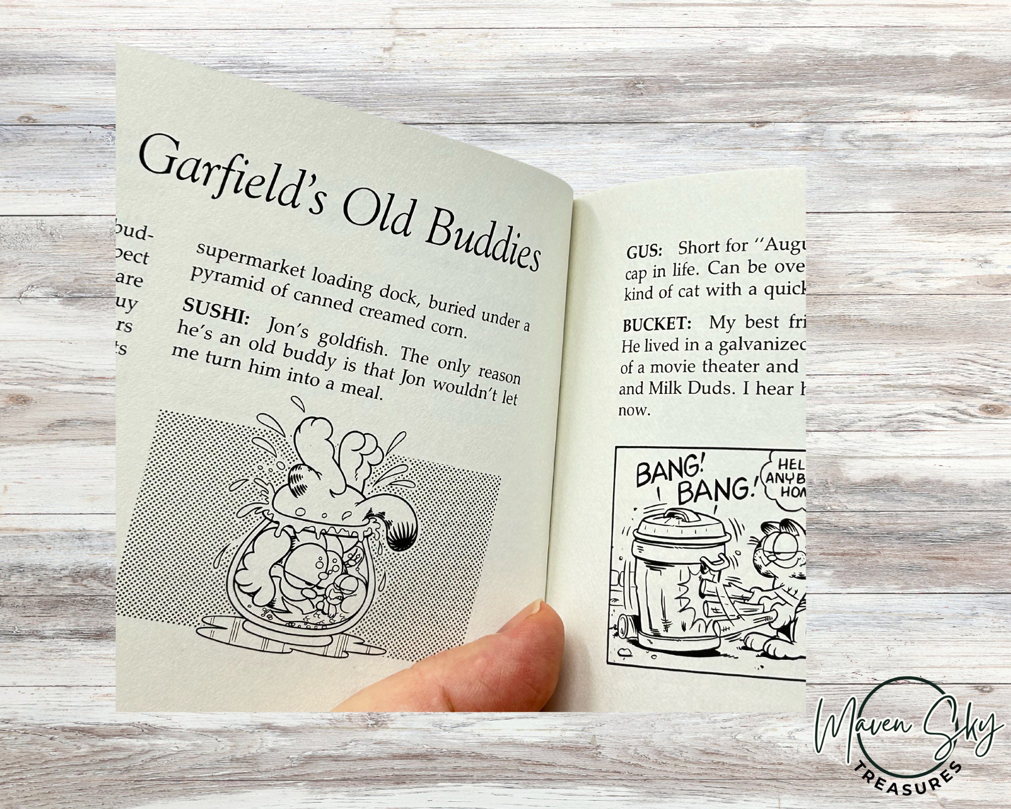 Vintage Garfield Comic Book, Jim Davis, Garfield Book of Cat Names ...