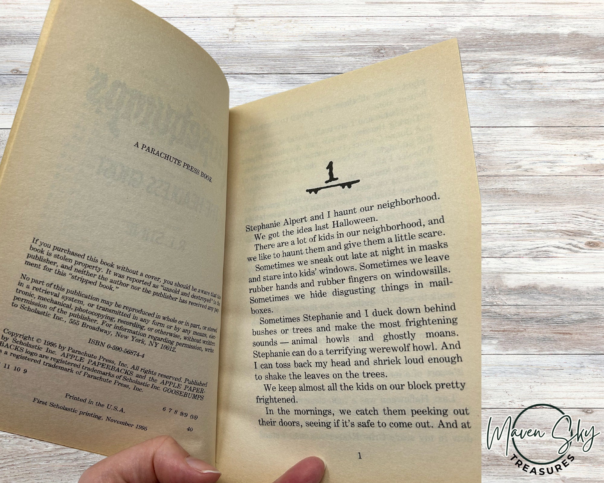 The Headless Ghost, R.L. Stine, Goosebumps, 1990's Book, Chapter Book ...