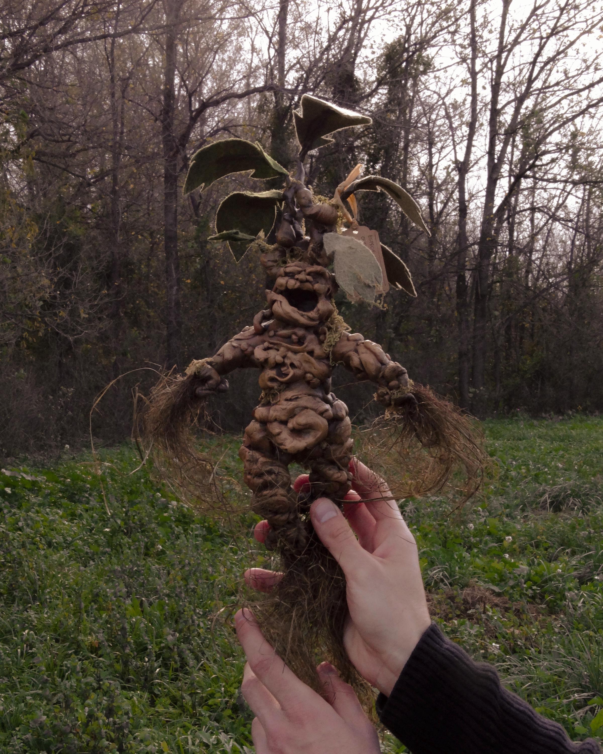 Handmade Mandrake Root Figure in a Pot for Decoration, Fantasy ...