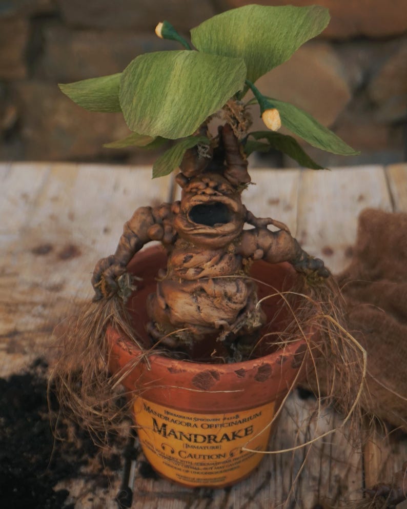 Handmade Mandrake Root Art Doll, Magical Plant Sculpture in Clay Pot - Etsy