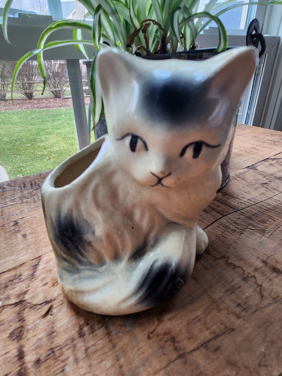 Kitty Planter - Etsy