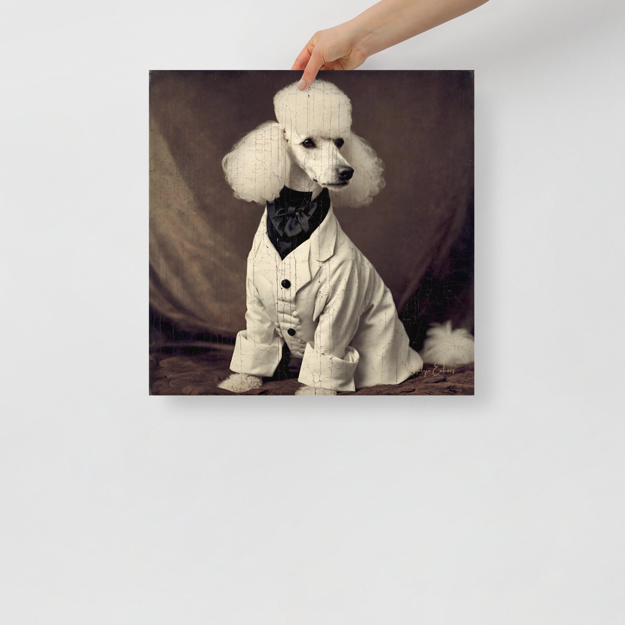 Victorian White Poodle Poster: Vintage Dog Wall Art - Etsy
