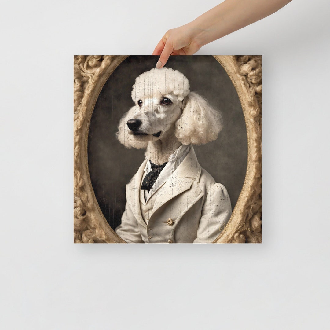 Victorian Poodle Portrait Poster: White Poodle in Suit - Etsy