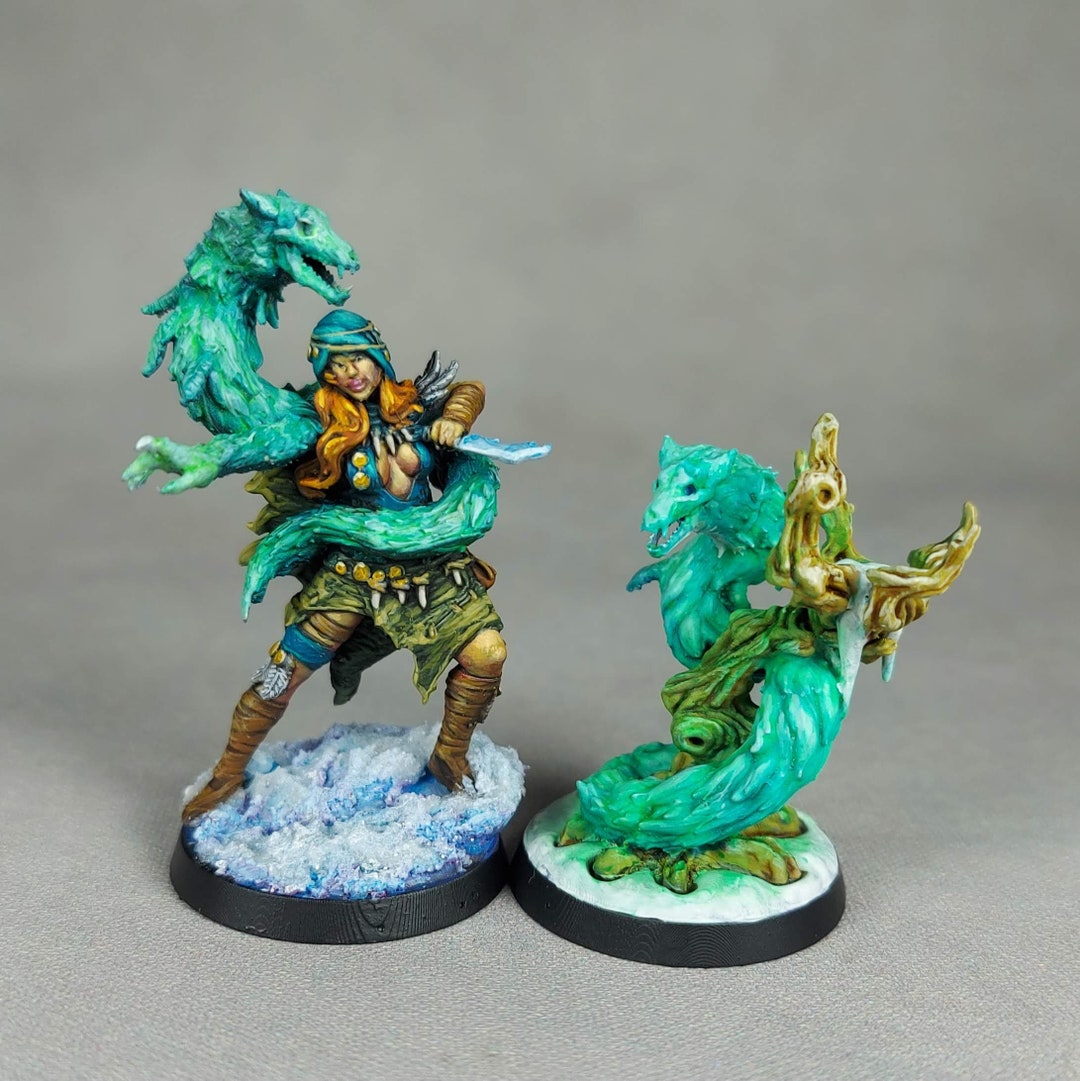 Female Wraithweaver and Carrion Wrath Hand Painted Miniatures - Dungeon ...