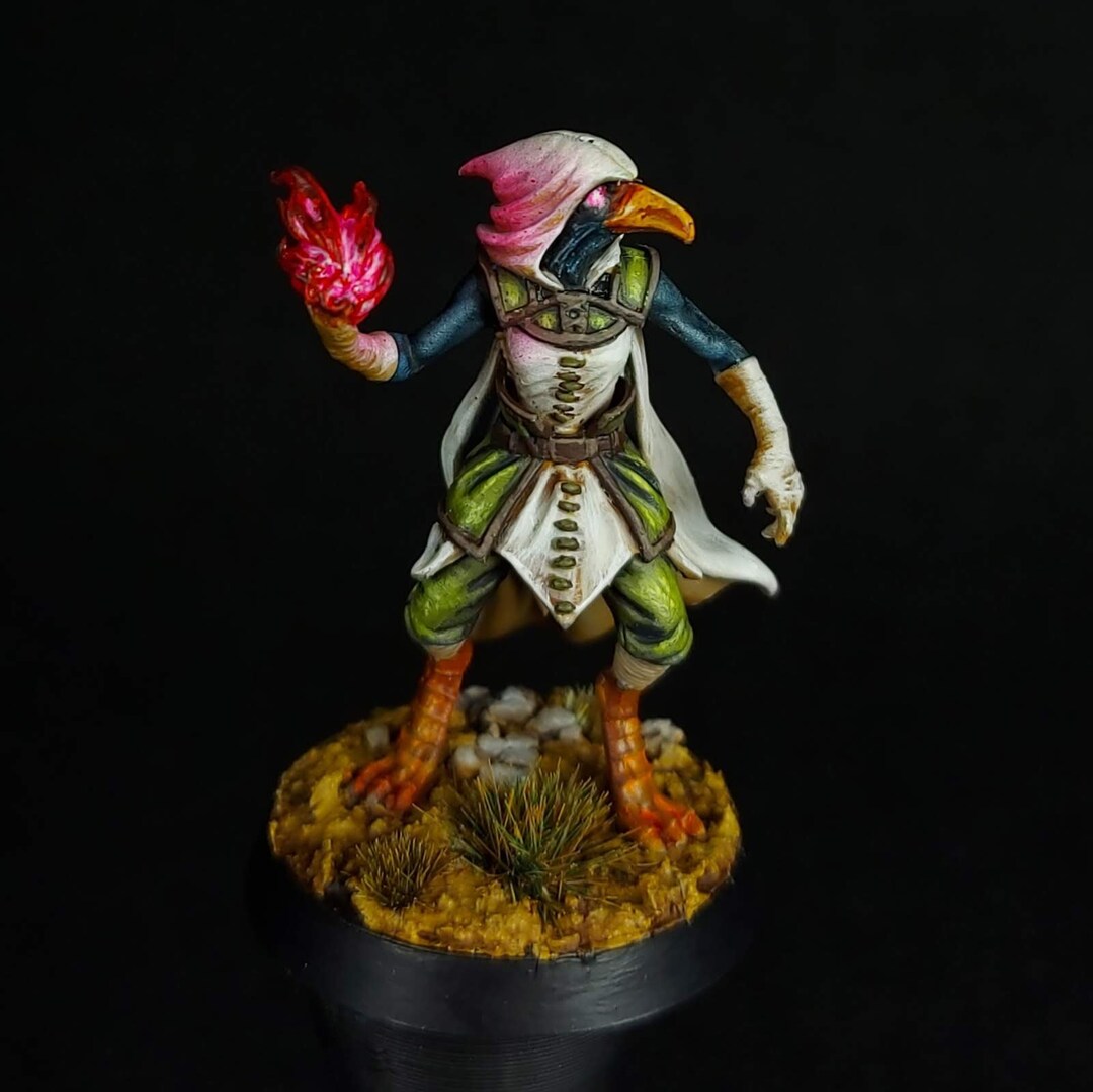 Female Kenku crow Mage / Wizard Hand Painted Miniature Dungeon and ...