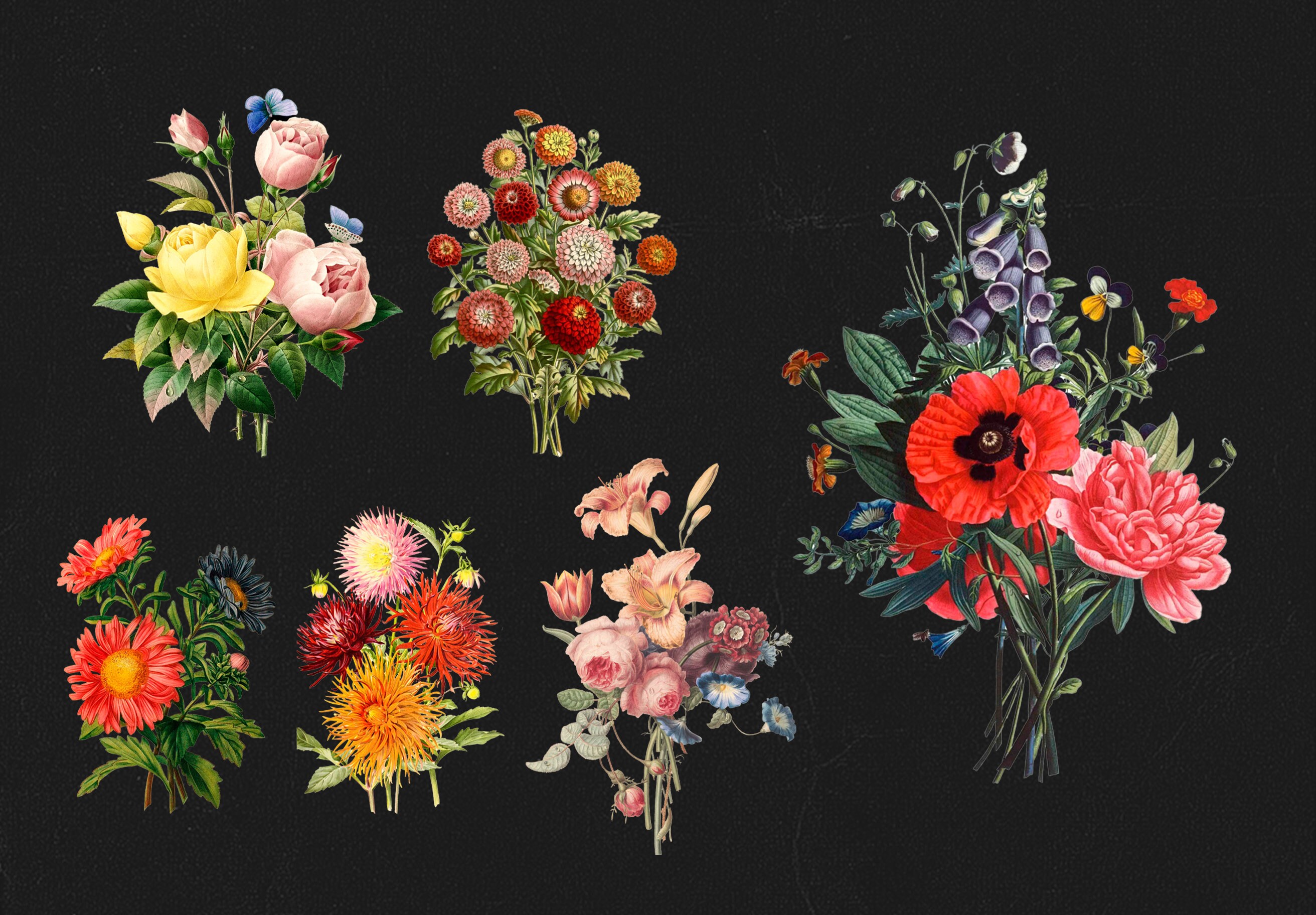 DIY Collage Creator Kit, Flower Clip Art, Botanical Drawing, PNG Cut ...