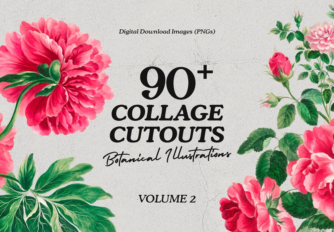 DIY Collage Creator Kit, Flower Clip Art, Botanical Drawing, PNG Cut ...