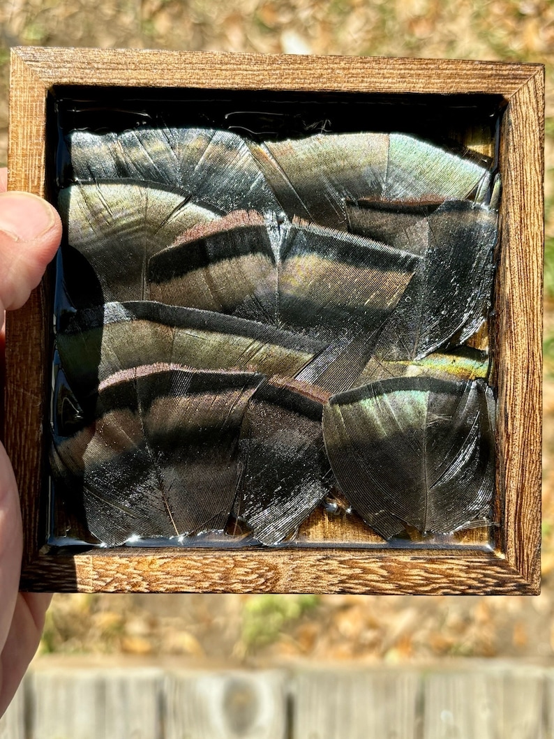 Custom Resin Turkey Feather Coasters and Trays - Etsy