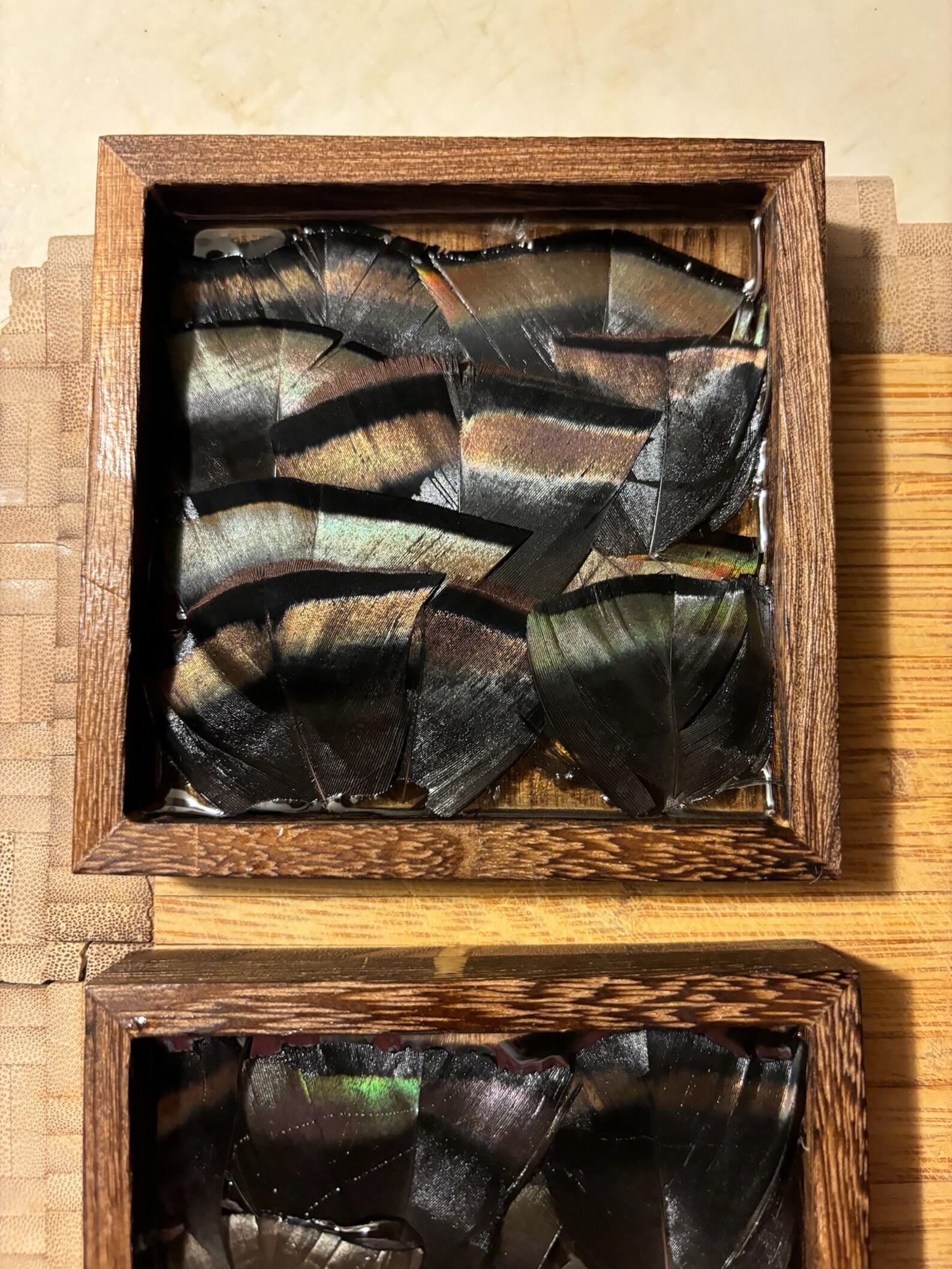 Custom Resin Turkey Feather Coasters and Trays - Etsy