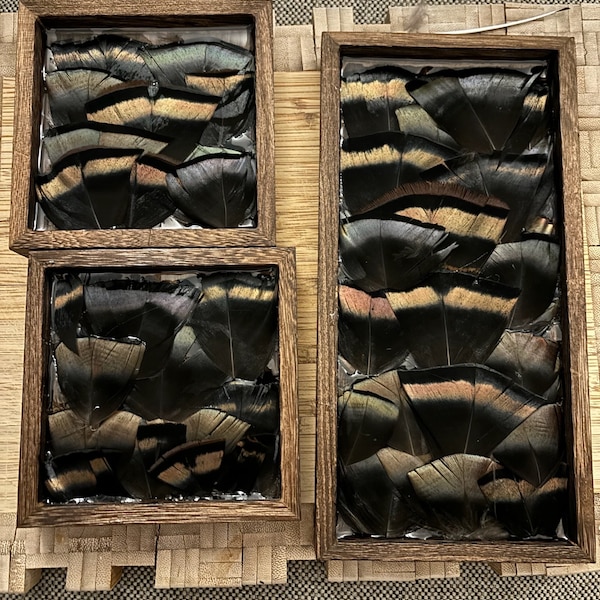 Turkey Feather Art - Etsy