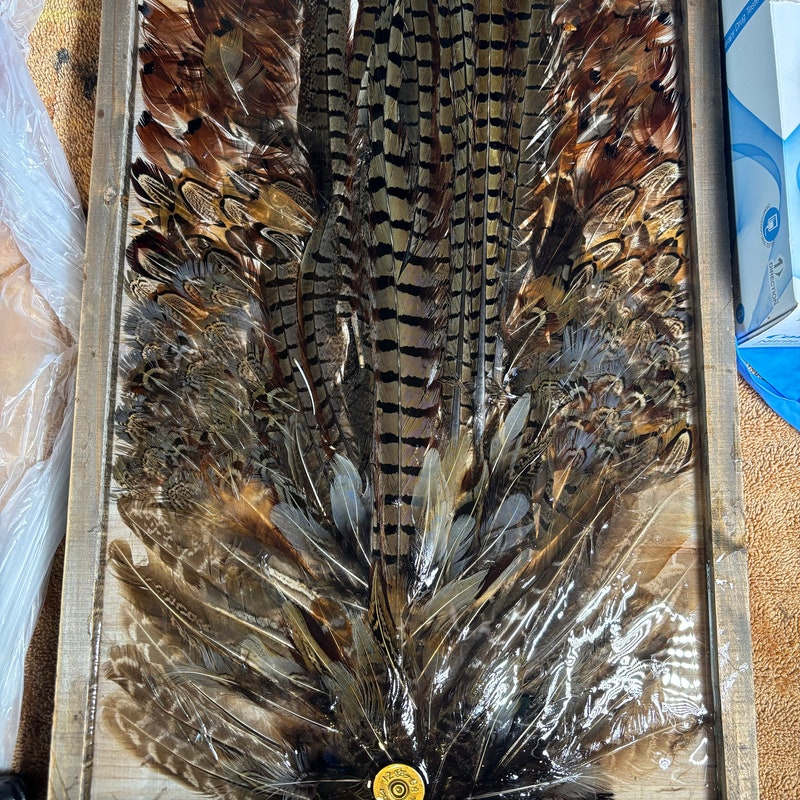 Large Feather Art - Etsy