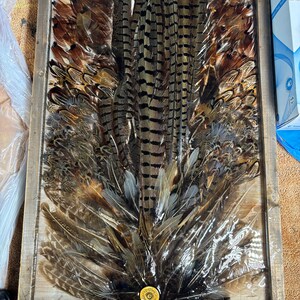 Custom Large Pheasant Feather Coffee Table Tray - Etsy