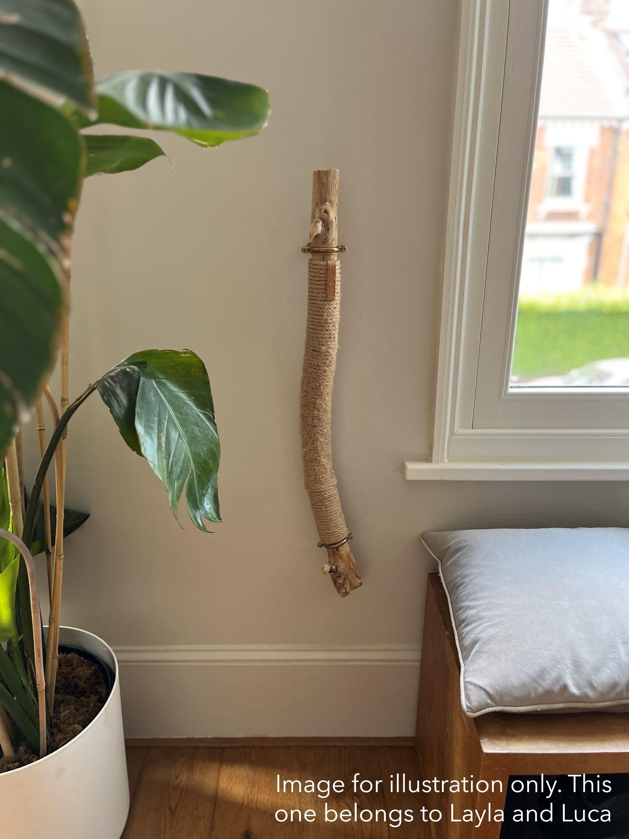 Wall Mounted Cat Scratching Post Made From Naturally Formed Driftwood ...