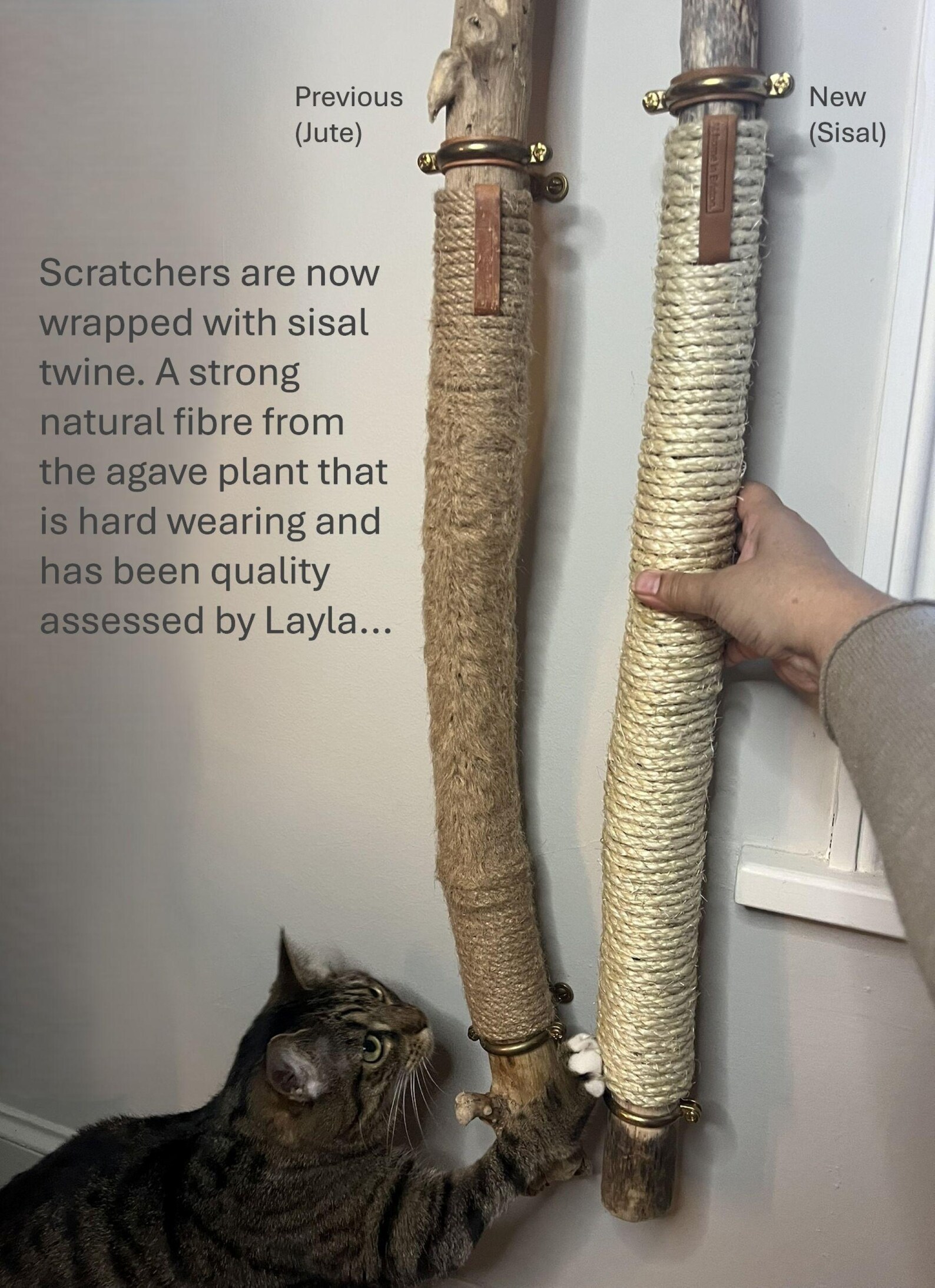 Wall Mounted Cat Scratching Post Made From Naturally Formed Driftwood ...