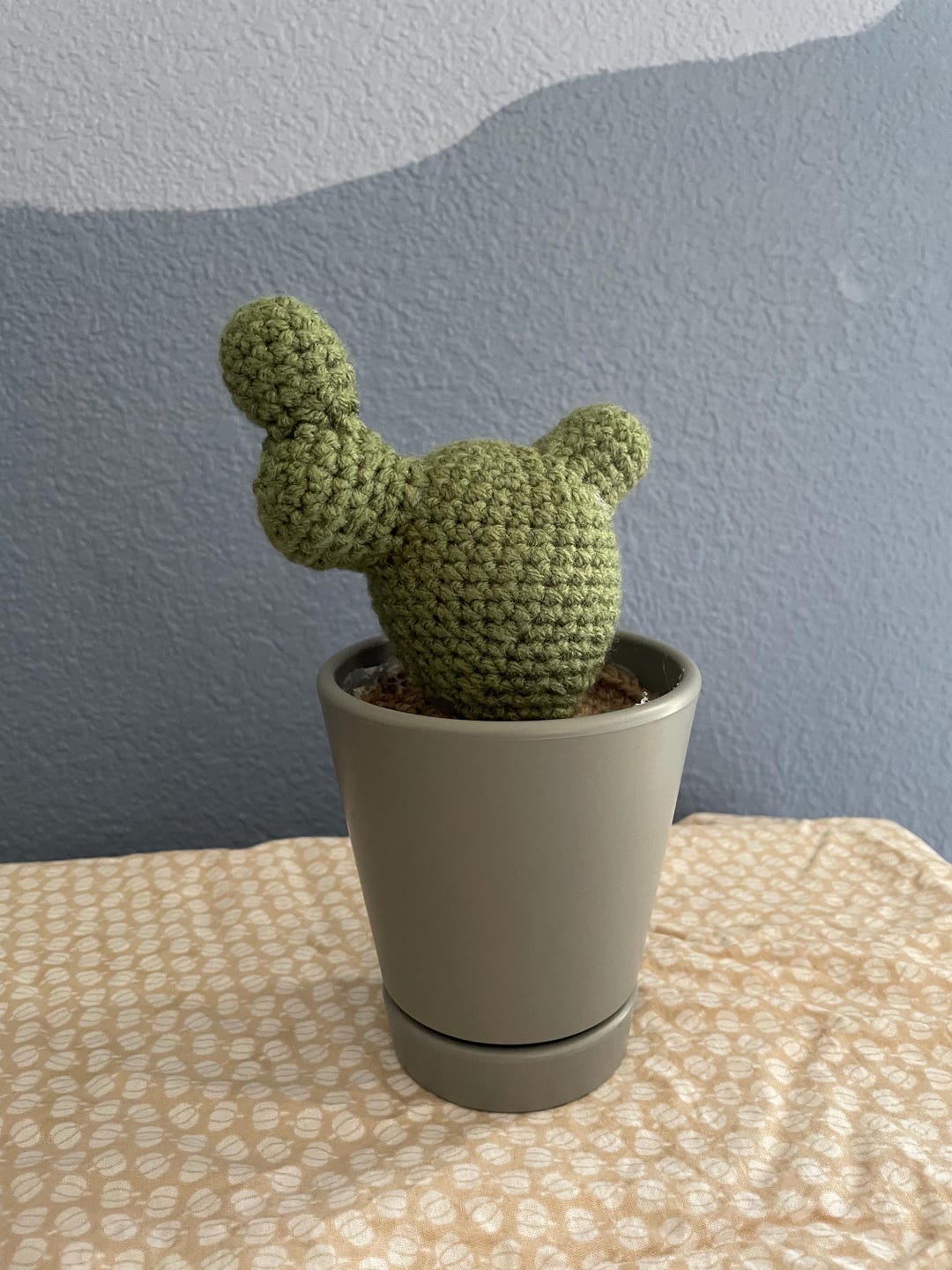 Cuddly Cactus - Etsy
