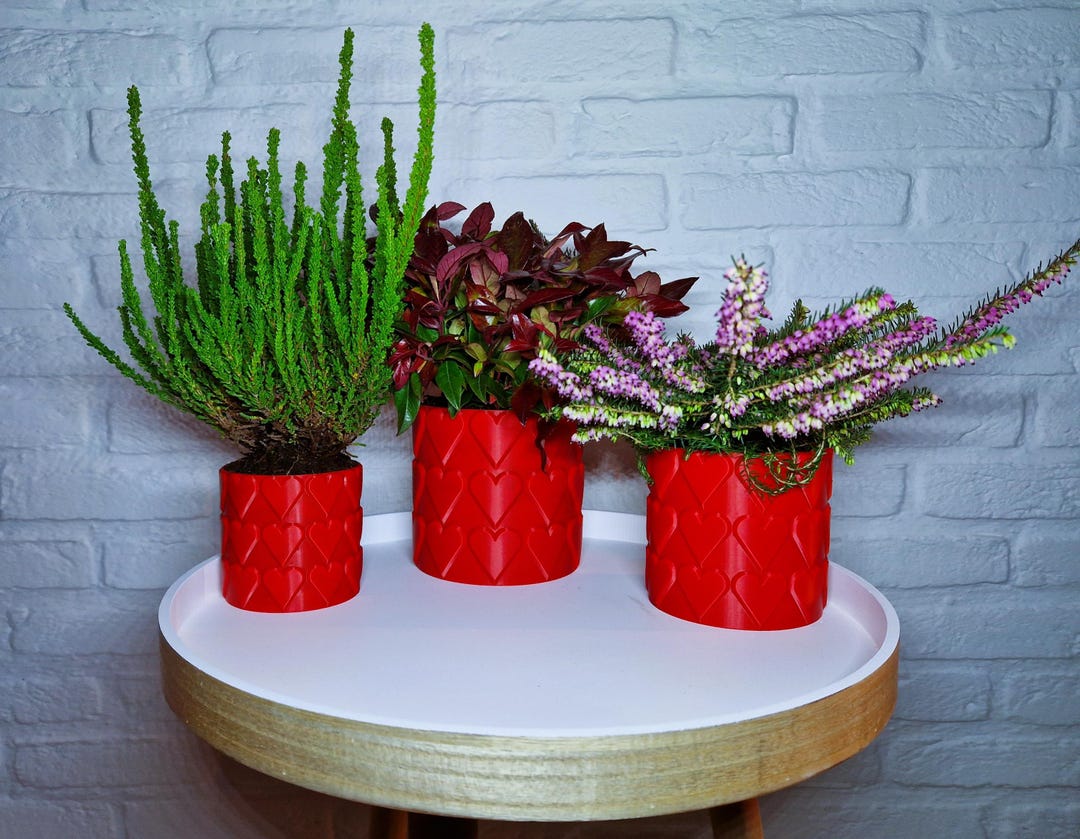 Elegant Heart-shaped Flower Pot – the Eye-catcher for Your Interior ...
