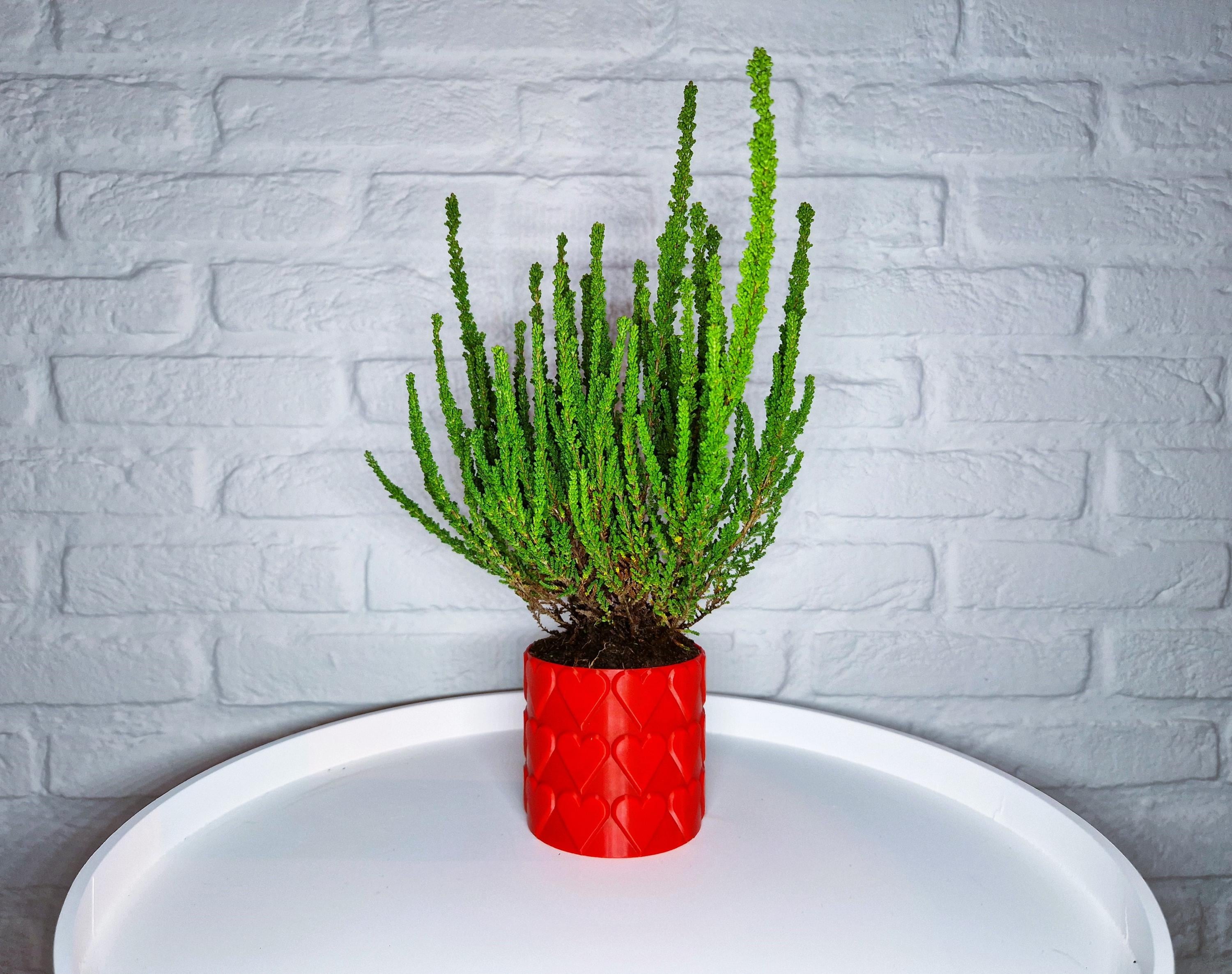 Elegant Heart-shaped Flower Pot – the Eye-catcher for Your Interior ...