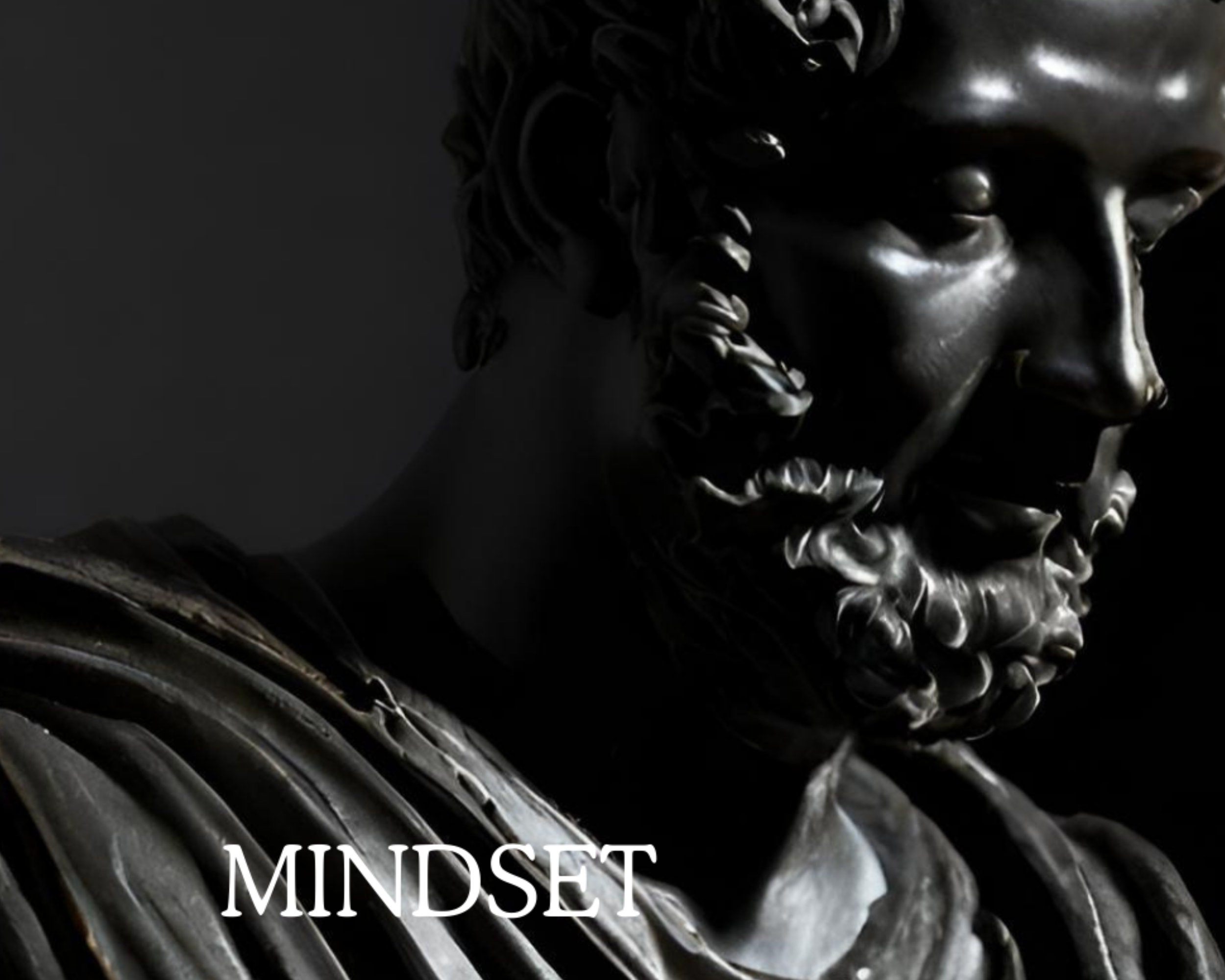 Stoicism Set of Custom Stream Banners for Twitch, Youtube, Twitter - Etsy