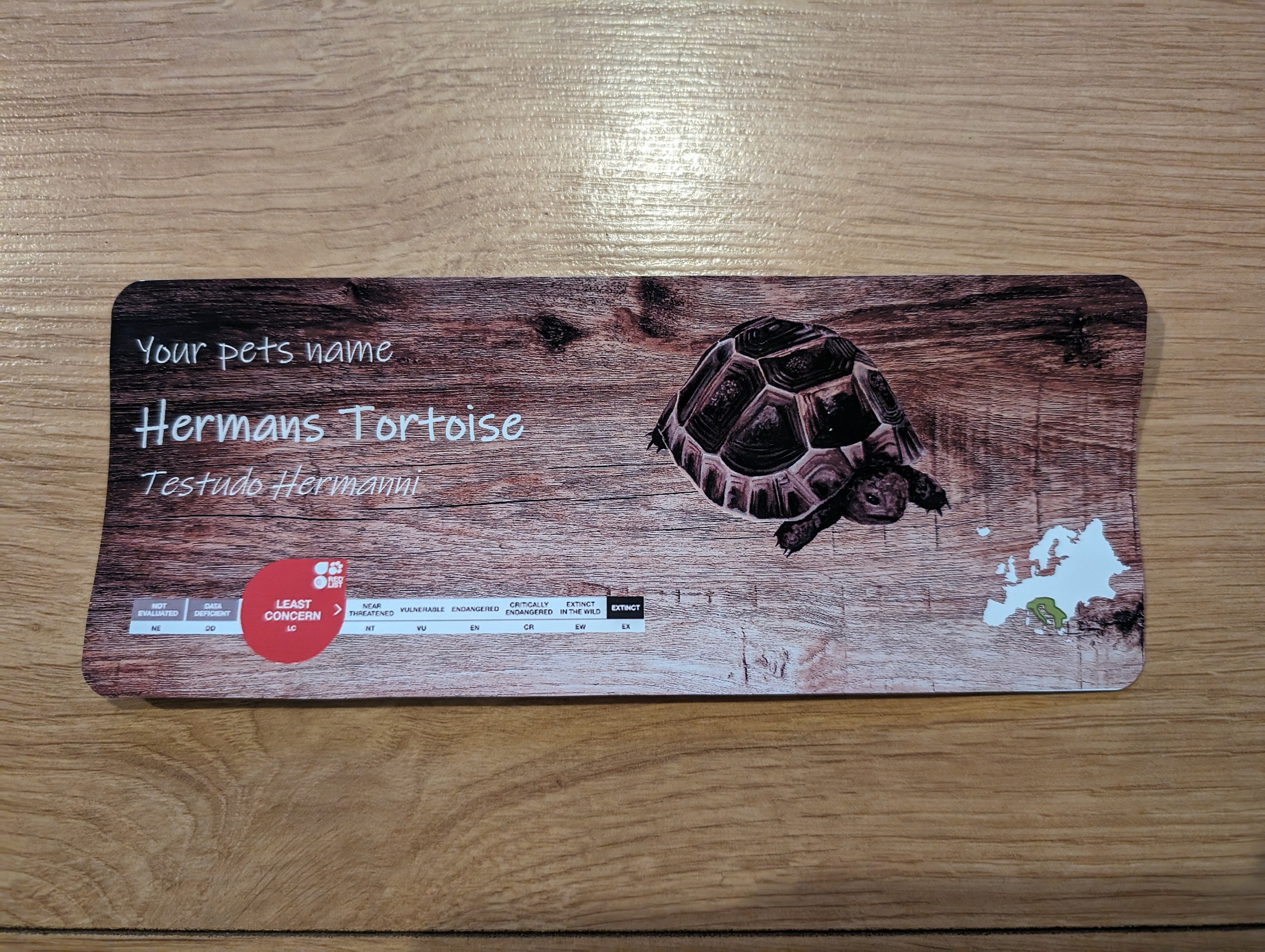 Hermans Tortoise Enclosure Zoo Signage Name Tag Sticker Vinyl Animal ...