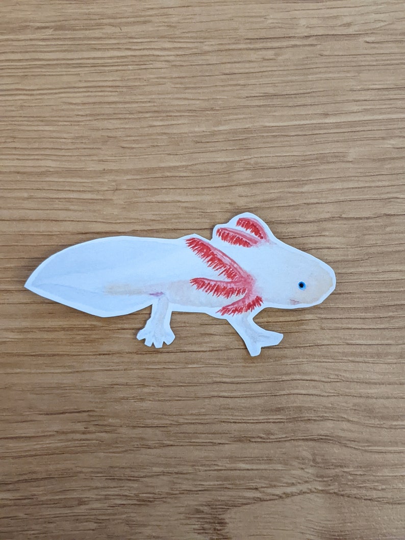 Axolotl Full Body Sticker Axolotl Name Tag Vinyl Sticker Animal Sticker ...