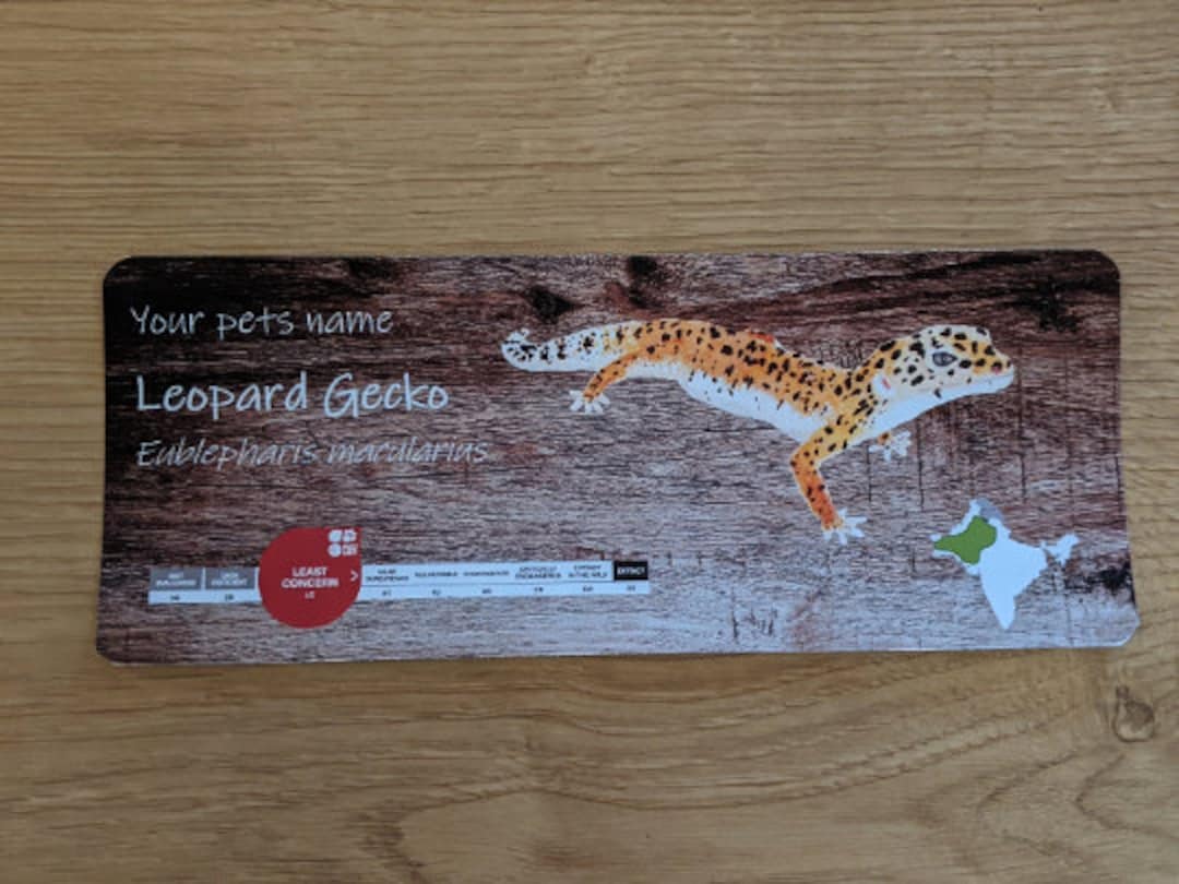 Leopard Gecko Enclosure Zoo Signage Name Tag Sticker Vinyl Animal ...
