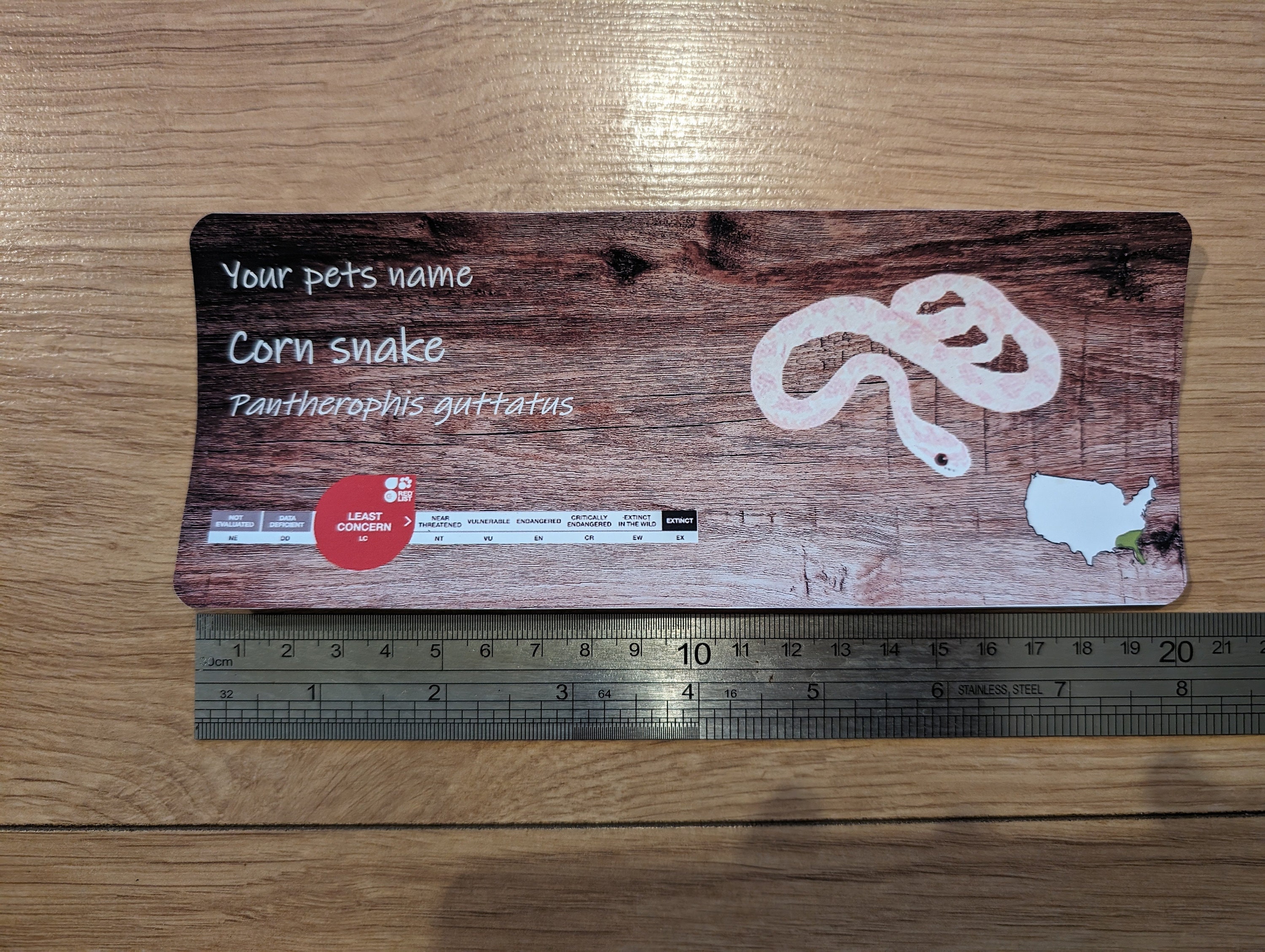 Albino Corn Snake Enclosure Zoo Signage Name Tag Sticker Vinyl Animal ...