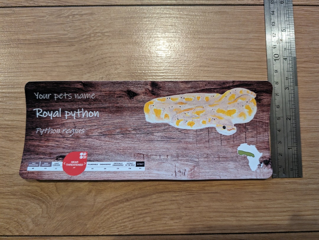 Albino Royal Ball Python Enclosure Zoo Signage Name Tag Sticker Vinyl ...