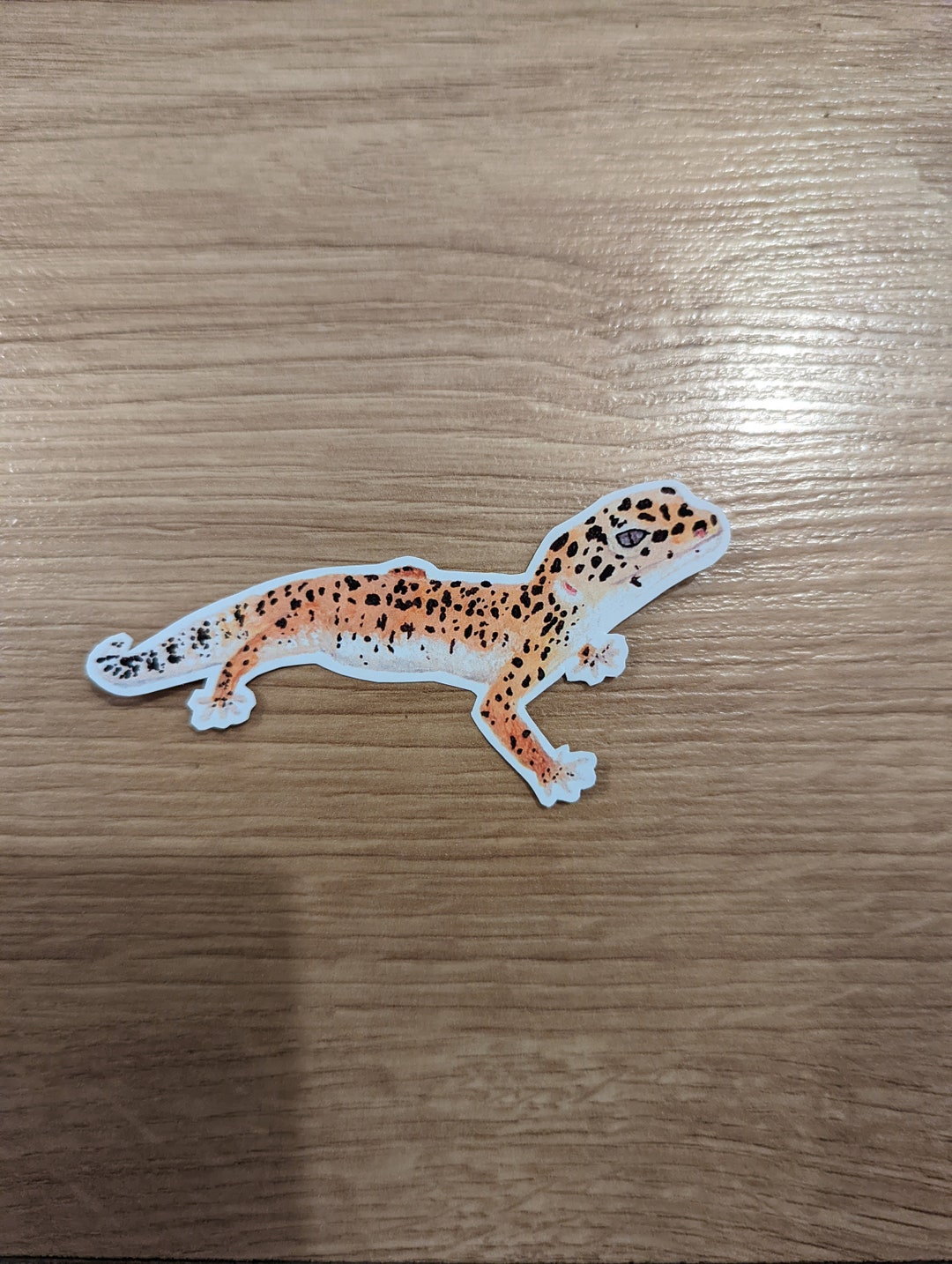Leopard Gecko Name Tag Gecko Vinyl Sticker Animal Sticker Hand Painted ...