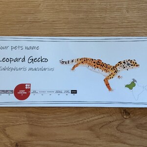 Leopard Gecko Enclosure Zoo Signage Name Tag Sticker Vinyl Animal ...