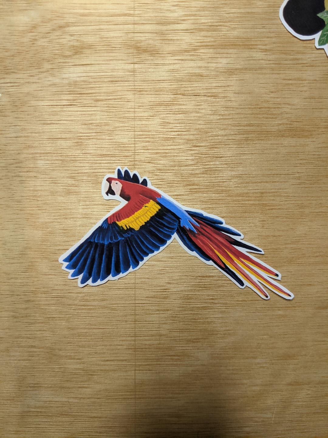 Scarlet Macaw Custom Vinyl Sticker, Hand Painted Acrylic Sticker - Etsy