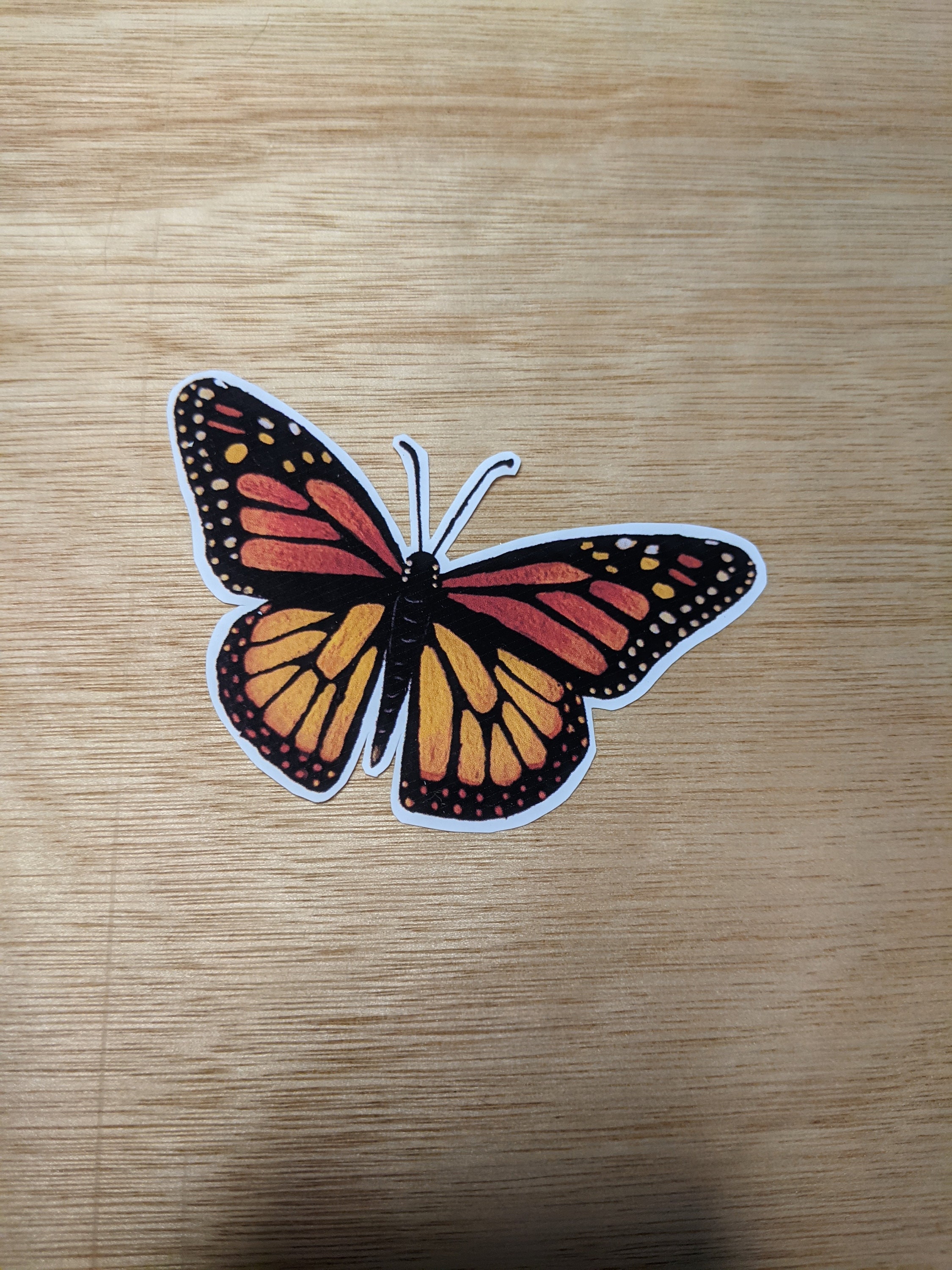 Monarch Butterfly Name Tag Vinyl Sticker, Custom Sticker, Hand Painted ...