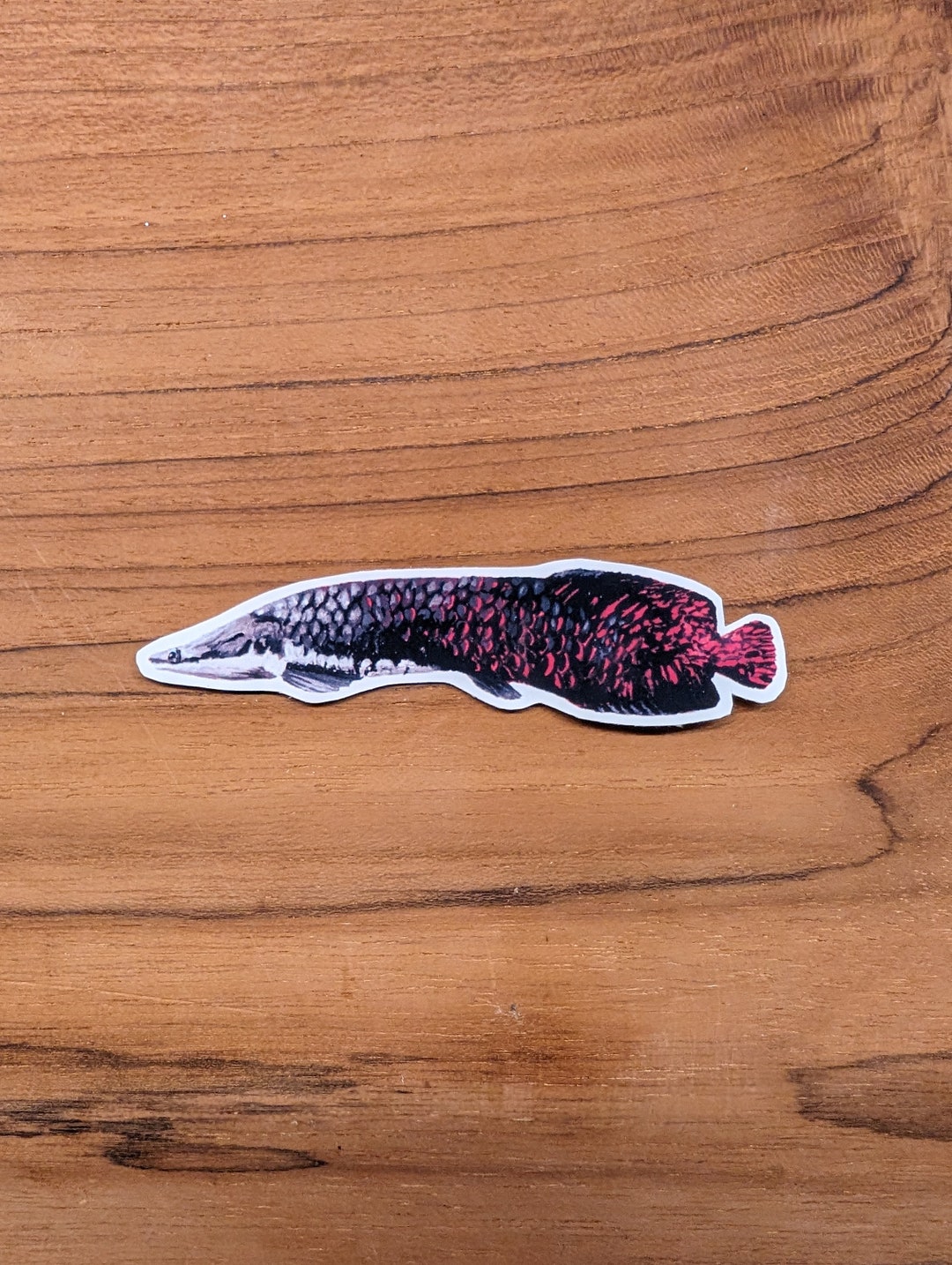 Arapaima Name Tag Sticker Vinyl Animal Sticker Hand Painted Acrylic ...