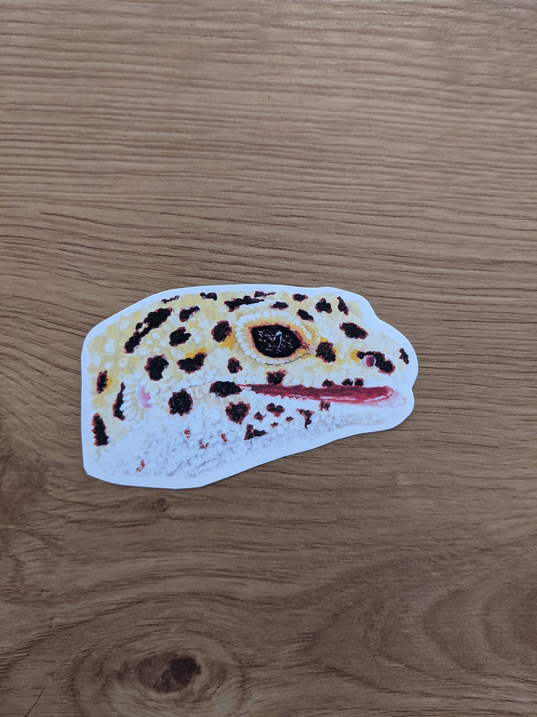 Leopard Gecko Head Name Tag Gecko Vinyl Sticker Animal Sticker Hand ...