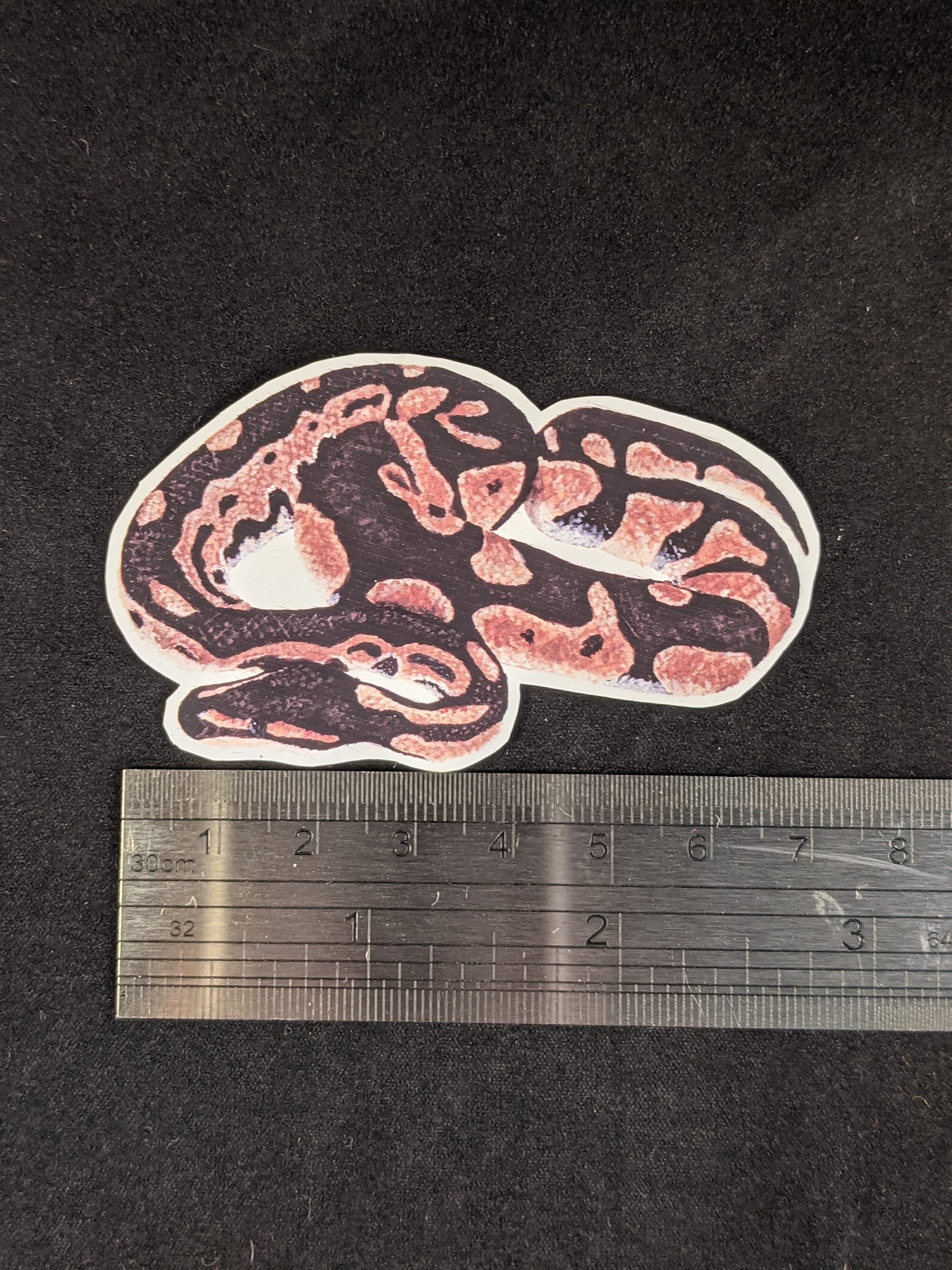 Royal Python Snake Sticker Animal Sticker Hand Painted Acrylic Sticker ...