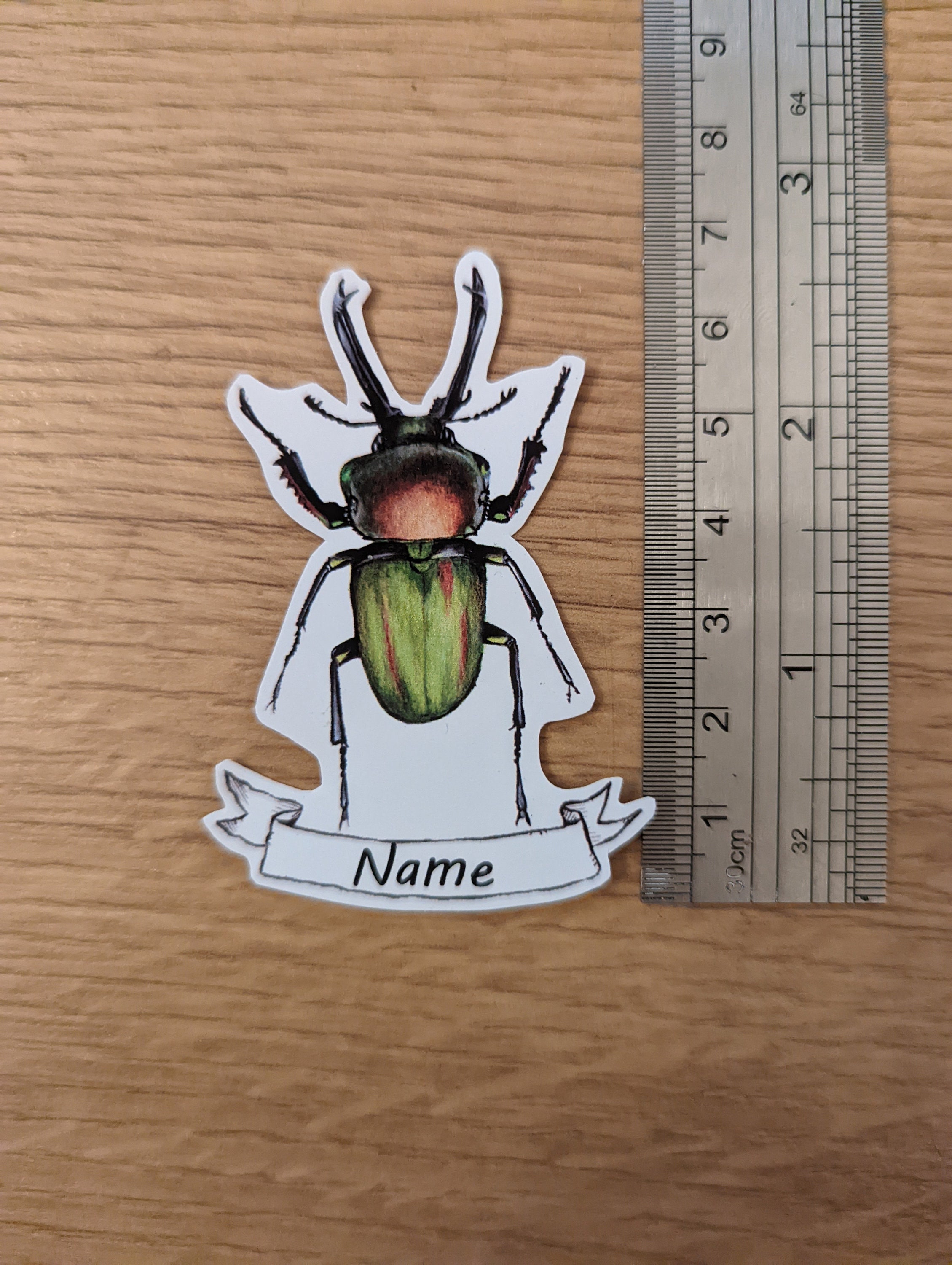 Rainbow Stag Beetle Custom Sticker Phalacrognathus Mueller Animal ...