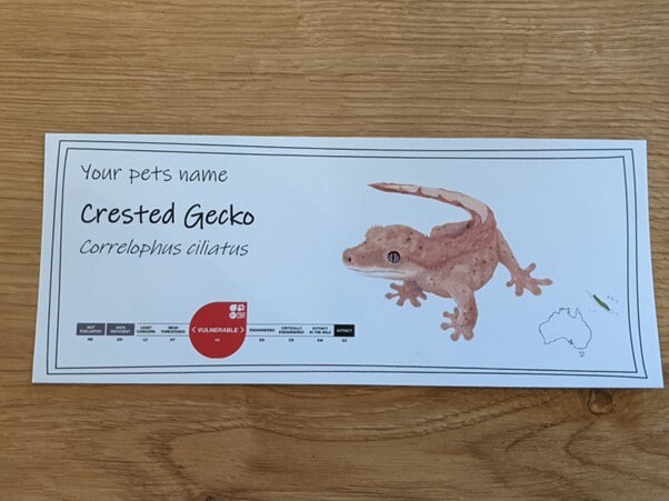 Crested Gecko Enclosure Zoo Signage Name Tag Sticker Vinyl Animal ...