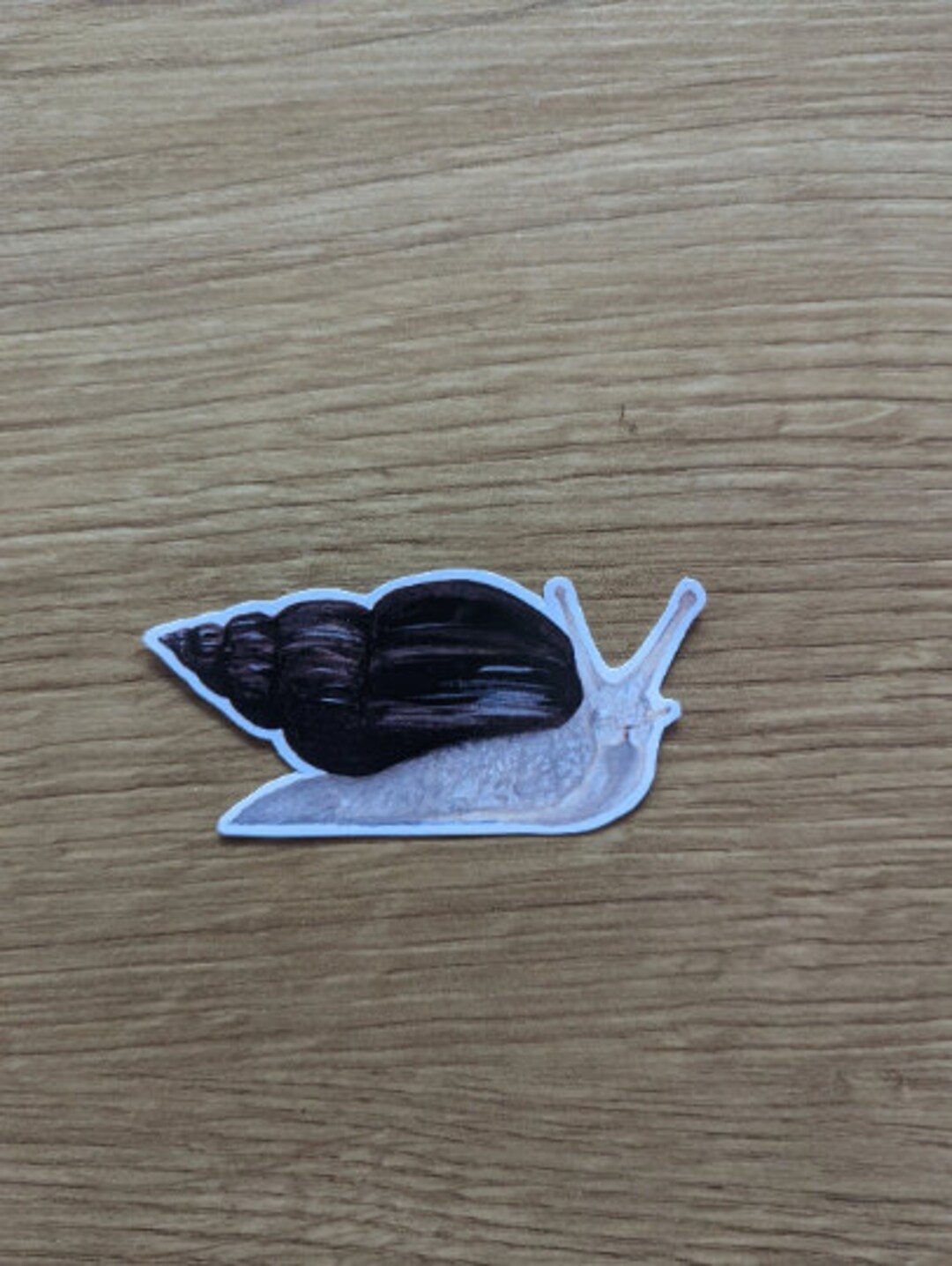 Giant African Land Snail Name Tag Sticker Vinyl Animal Sticker Hand ...