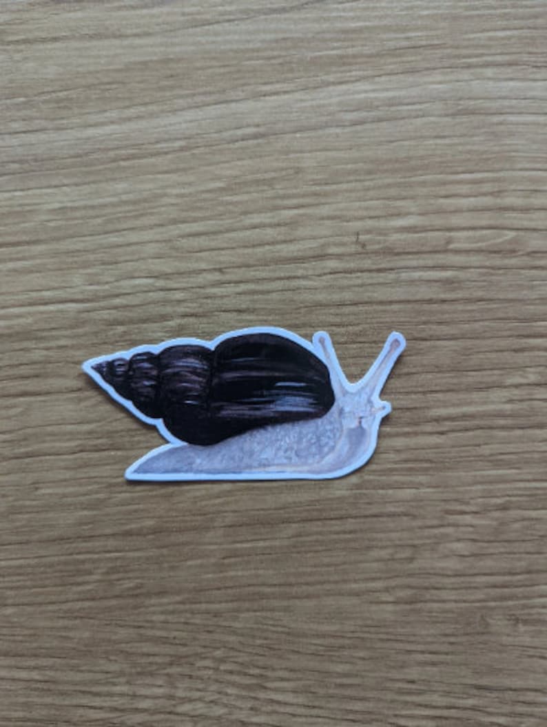 Giant African Land Snail Name Tag Sticker Vinyl Animal Sticker Hand ...
