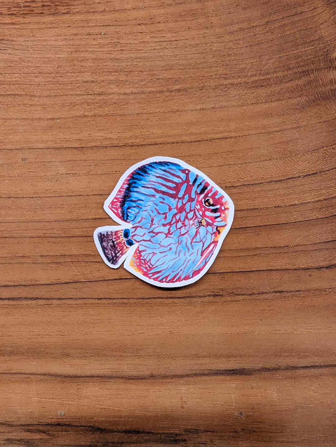 Discus Name Tag Sticker Vinyl Animal Sticker Hand Painted Acrylic ...
